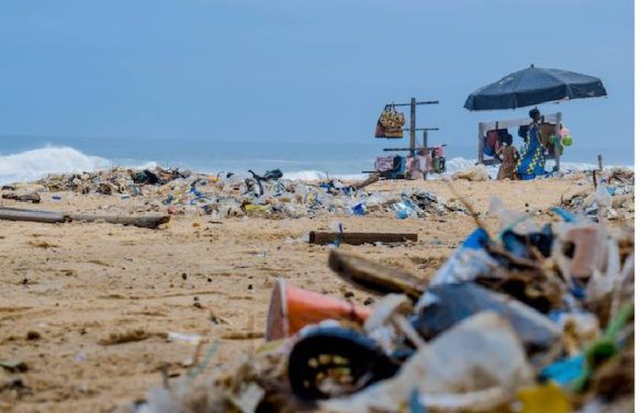 About Cruddy Marketing Statements