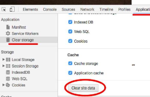 Error For Site Owner: Invalid Domain For Site Key